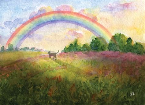 Rainbow Bridge Kitty By Shawn Braley Cardly