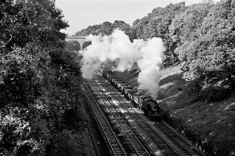 Sonning Cutting