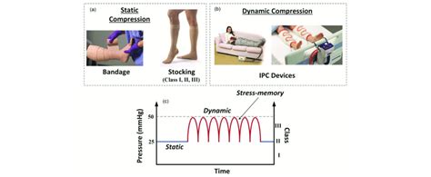 Modes Of Existing Compression Therapy A Static Compression B Download Scientific Diagram