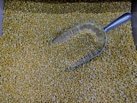 Better Tasting Yellow Peas Developed With Crispr Seed World