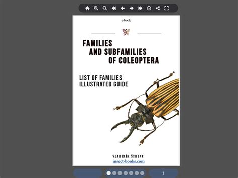 7 Fascinating Types Of Beetles Insects In Coleoptera