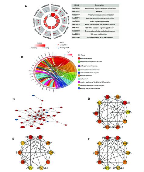 Enrichment Analysis And Ppi Network Of Co Degs A The Circle Diagram