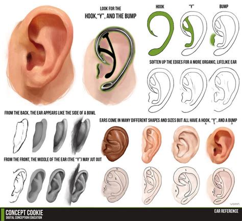 Imgur Art Reference Drawing Techniques Art Tutorials