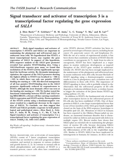 Pdf Signal Transducer And Activator Of Transcription 3 Is A Transcriptional Factor Regulating