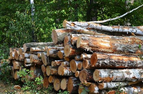 Premium Photo Alternative Fuels Logging Firewood For The Heating Season