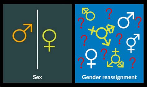 Featured Image Sex Not Gender