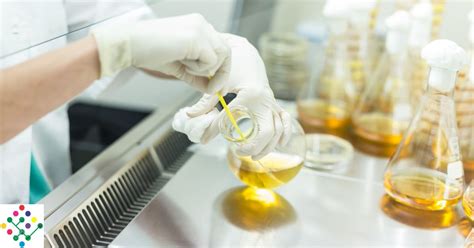 Laminar Air Flow Some Important Things You Must Know Igene Labserve