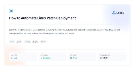 How To Automate Linux Patch Deployment Labex