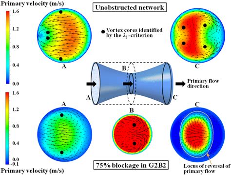Contours Of Primary Velocity With Superposed Secondary Velocity Vectors