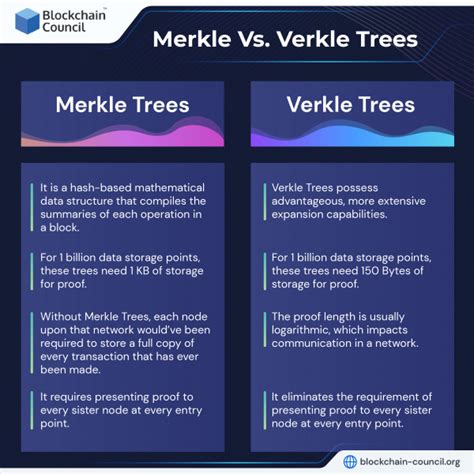 Merkle Trees Vs Verkle Trees All You Need To Know Blockchain Council