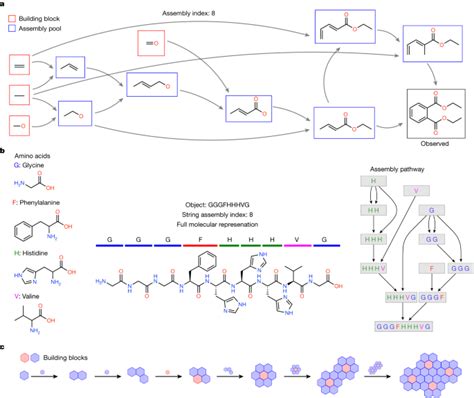 Assembly Theory A New Mathematical Model That Predicts Evolution