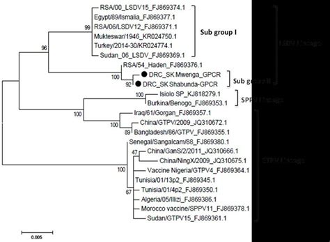 Phylogenetic Relationship Of Gpcr Gene Of Capripox Virus Capv A