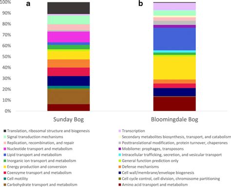 Relative Abundance Of Annotated Cog Pathways For Genes With Differences Download Scientific