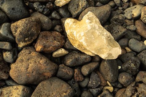 รูปภาพlithification เลือกดูภาพถ่ายสต็อก เวกเตอร์ และวิดีโอ156 Adobe Stock