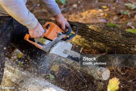 새 집을 위해 숲을 개간하는 과정에서 한 남자가 나무를 치우면서 전기톱으로 나무를 자르고 있다 45 49세에 대한 스톡 사진 및 기타 이미지 Istock