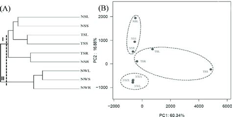 Cluster Analysis Based On The Bray Curtis Algorithm And Principal