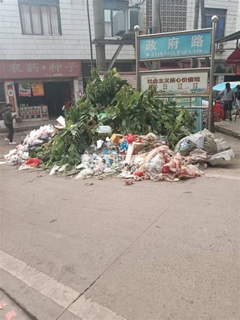 永兴镇政府路农贸市场口垃圾每天都没倒进池中 群众呼声四川问政 四川省网上群众工作平台 宜宾市委书记