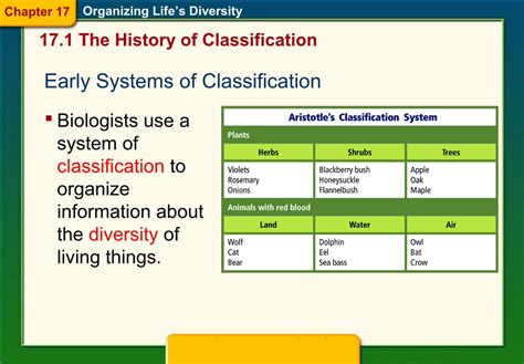 Pdf 171 The History Of Classification Dokumentips
