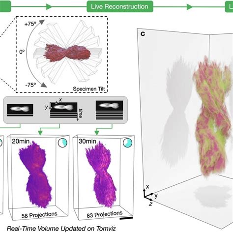 Real Time Electron Tomography Workflow Of A Helical Nanoparticle