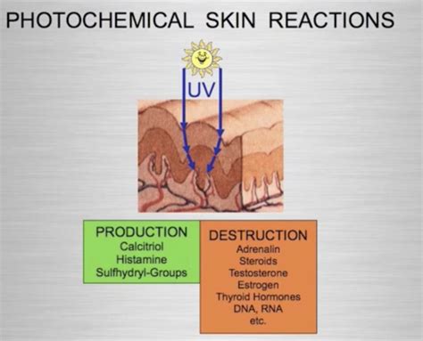 Thread By Drjackkruse On Thread Reader App Thread Reader App