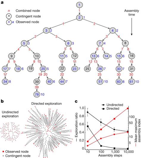 Assembly Theory Explains And Quantifies Selection And Evolution
