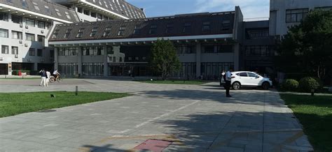 谷歌浏览器打不开是什么原因