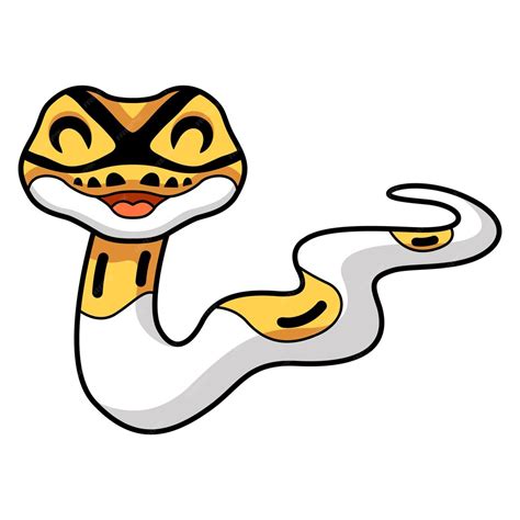 Dessin Animé Mignon Python Pie Albinos Vecteur Premium