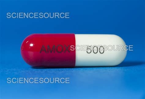 Amoxicillin Antibiotic Drug Stock Image Science Source Images