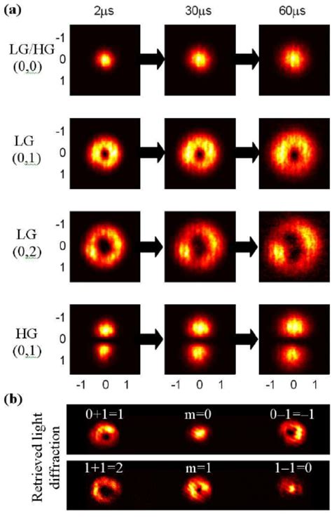 A Diffusion Of The Complex Field Of Atomic Coherence In A