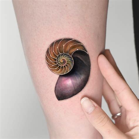 Chambered Nautilus Shell Tattoo