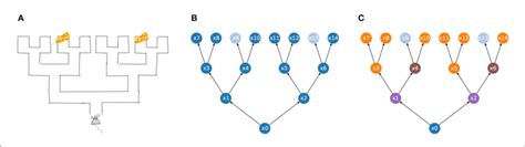 A Cheese Maze Defined In Example E B Labeled Automaton With