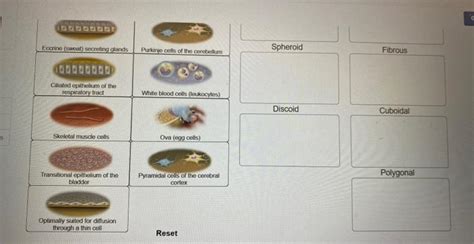 [solved] please answer the full questions so i can verify m