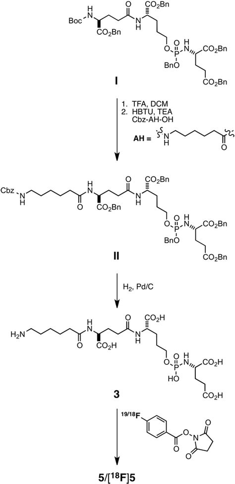 Synthetic Scheme For 3 And Its Fluorinated Analogs Download