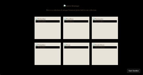 Image Gallery Boilerplate Codesandbox