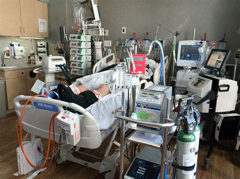Life Support In Intensive Care Stock Image C0300089 Science