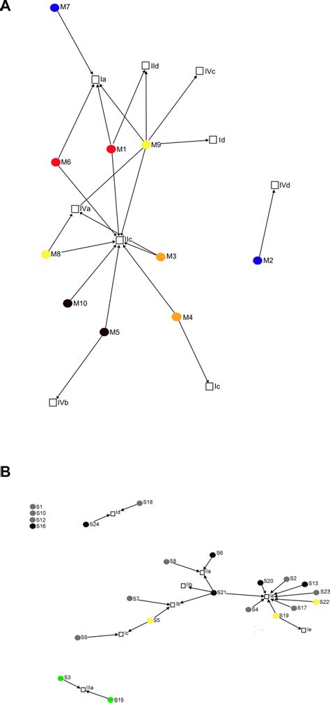 Two Mode Network Diagrams For Melbourne And Sydney Upper And Lower