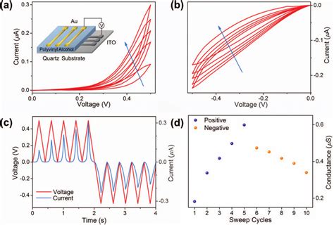 I V Characteristics Of The Polymer Memristor Respond To A Positive Or Download Scientific