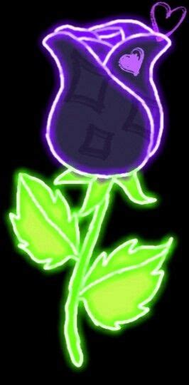 Midnight Rose Midnight Rose Rose