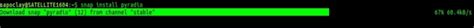 PyRadio Radio Player Snap Package For Ubuntu Terminal