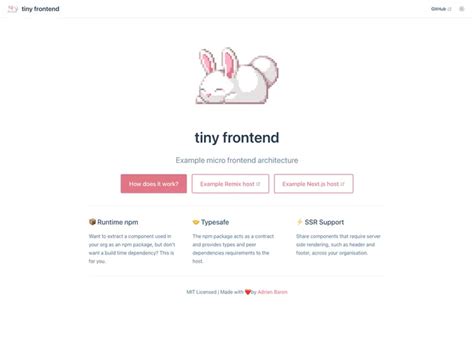 Example Tiny Frontend