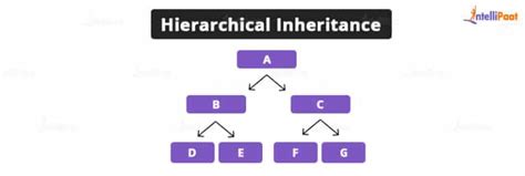 Inheritance In C A Guide For Beginners