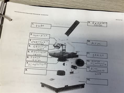 Microscope Flashcards Quizlet
