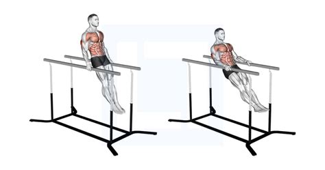 Lever Bicep Curl Guide Benefits And Form