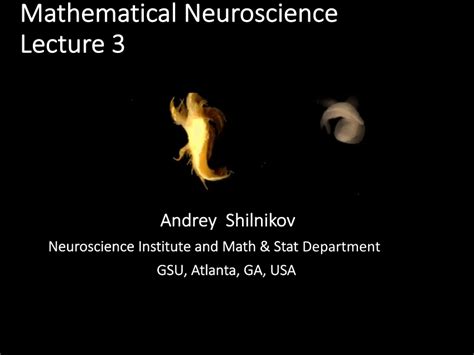 Pdf Dynamical Foundations Of Neuroscience Lecture 3