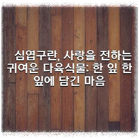 심엽구란 사랑을 전하는 귀여운 다육식물 한 잎 한 잎에 담긴 마음