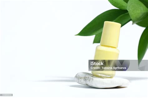 식물의 단단한 그림자가있는 흰색 배경에 돌에 돌에 노란색 매니큐어와 고립 된 화장품 병의 창조적 인 모형 네일 케어 매니큐어 또는 페디큐어의 개념 기치 0명에 대한 스톡