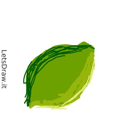 How To Draw Lime Iadpqi Te Png LetsDrawIt