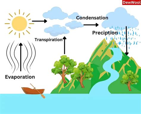 Water Cycle Process Diagram And Its Various Stages 52 OFF
