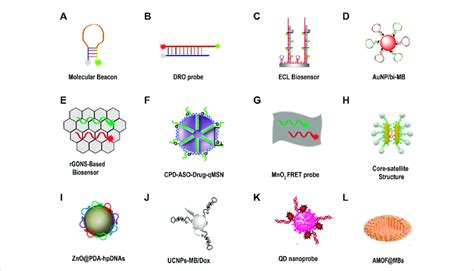 Dna Fluorescent Probe For Tumor Related Imaging In Living Cells A Download Scientific