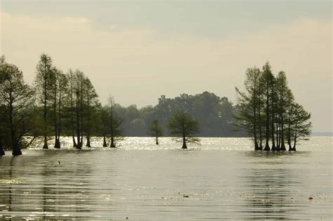 Bassmaster Elite At Santee Cooper May Present Interesting Seasonal